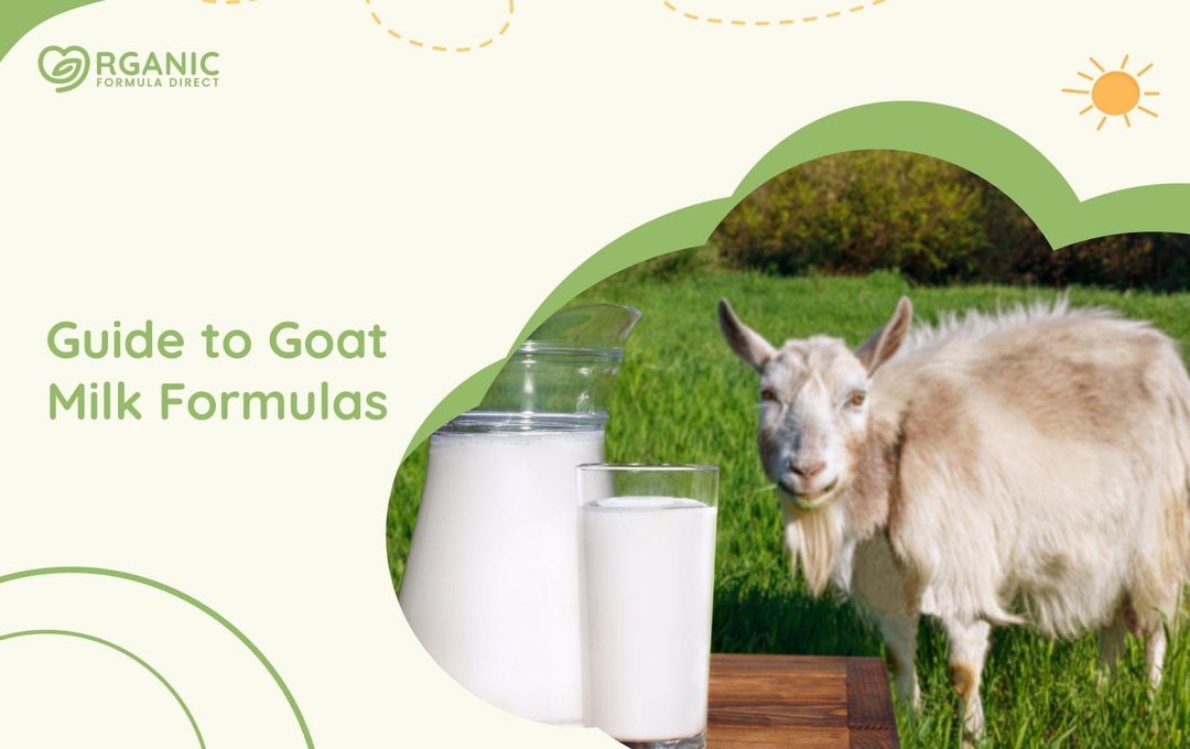 Complete Guide to Goat Milk Baby Formula | OFD Blog – Organic Formula ...